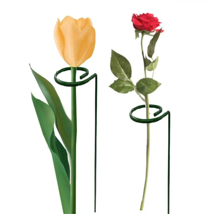 6 Pack Plant Support Rods Steel Garden Single Stem Support Pile Plant ...