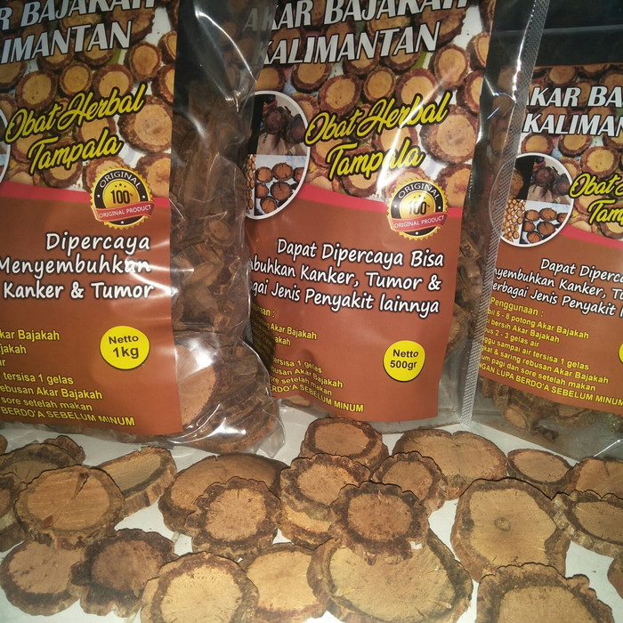 akar kayu bajakah tampala asli kalimantan 500gram - SEDIA Obat Herbal ...