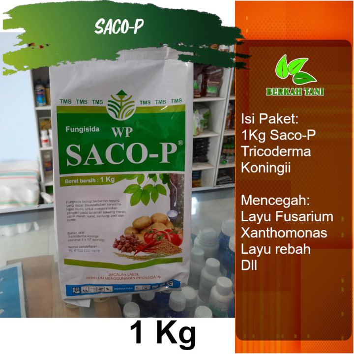 Sacop 1 Kg Saco-p 1 Kg Anti Layu Fusarium Moler Umbi | Lazada Indonesia