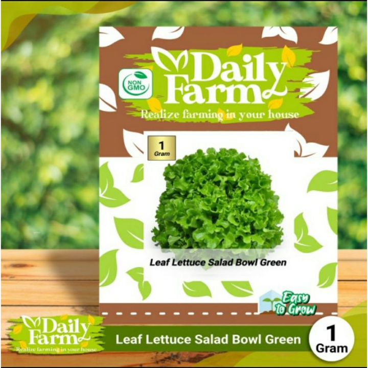 Daily Farm - Benih Selada Keriting Hijau - Lettuce Salad Bowl Green ...
