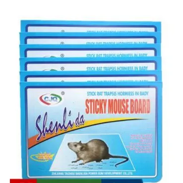 COD Anti Daga! Rat & Mouse Sticky Mice Rodent Glue Board Bait Trap ...