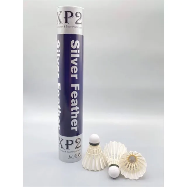 FREE OVERGRIP INSIDE Authentic/Original XP2 Speed 76 77 Silver ...