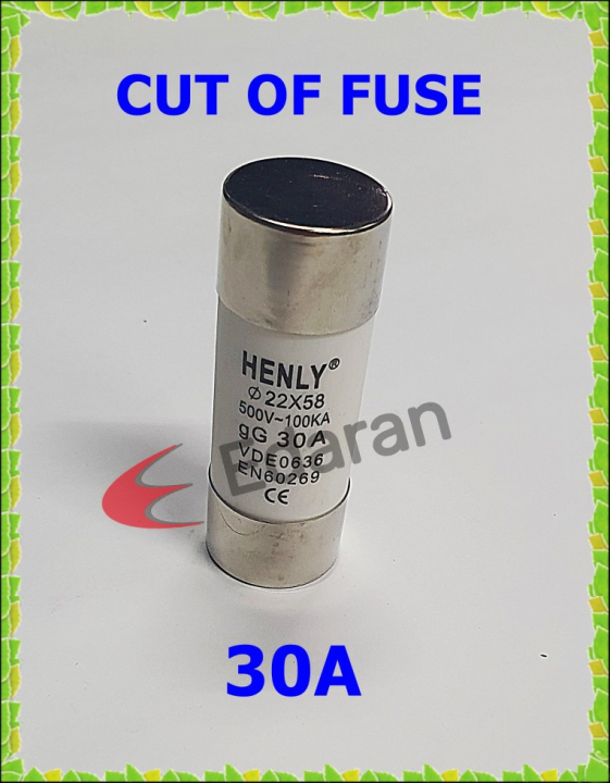 CUT OUT FUSE (100A/63A/30A) | Lazada