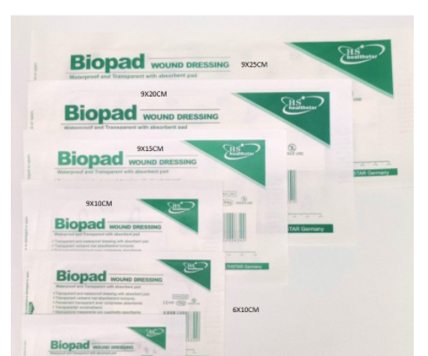 BIOPAD WOUND DRESSING 1'S (9X10CM) | Lazada