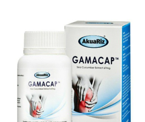 Akuariz GAMACAP 67mg Capsules 60s (Gamat Extract) - Sakit Lutut dan ...