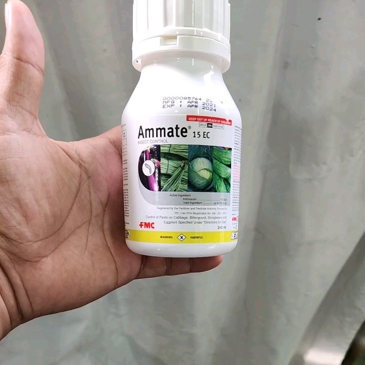 Ammate 15EC Insecticide for Cabbage, Bitterground, Eggplant and Stringbeans | Lazada PH