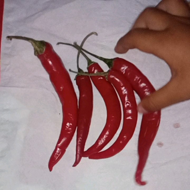 Cabe Merah Besar | Lazada Indonesia