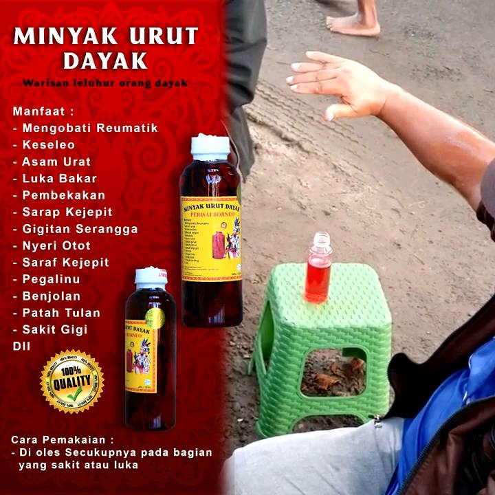 MINYAK DAYAK MINYAK URUT DAYAK KALIMANTAN 250ML ORIGINAL PRISAI BORNEO ...