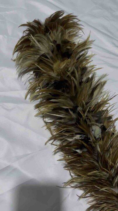 Large Feather Duster Authentic Feathers Duster Multi-purpose Feather ...