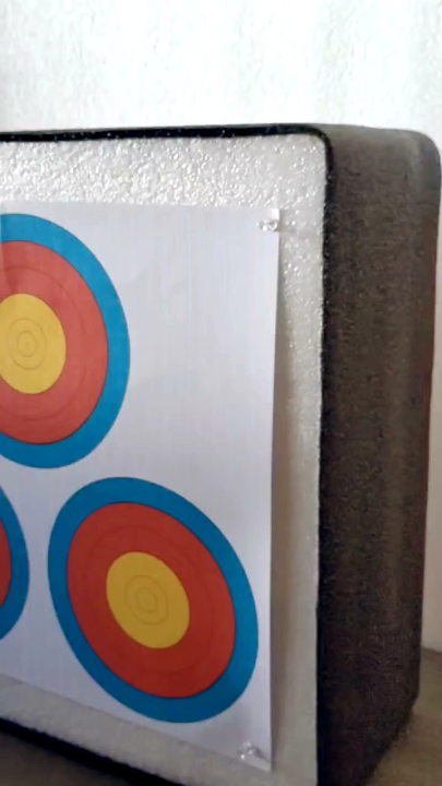 JVD Archery Target Face Vegas 3 Spot (3 x 20cm) | Lazada