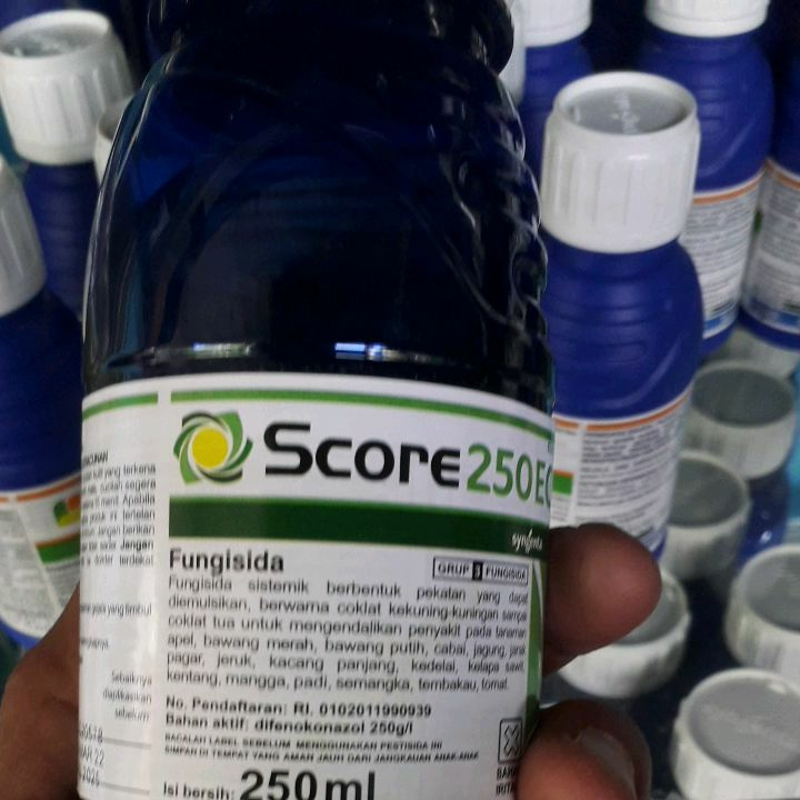 FUNGISIDA SCORE 250 EC isi 250ml/ory | Lazada Indonesia