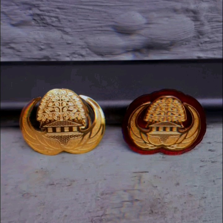 PIN KORPRI LOGAM ETCHING KORPRI ASN LOGAM SEPUH EMAS TUMPUK MIKA PIN ...