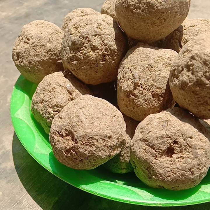 Tanah Lempung Untuk Daun Pepaya 10 butir | Lazada Indonesia