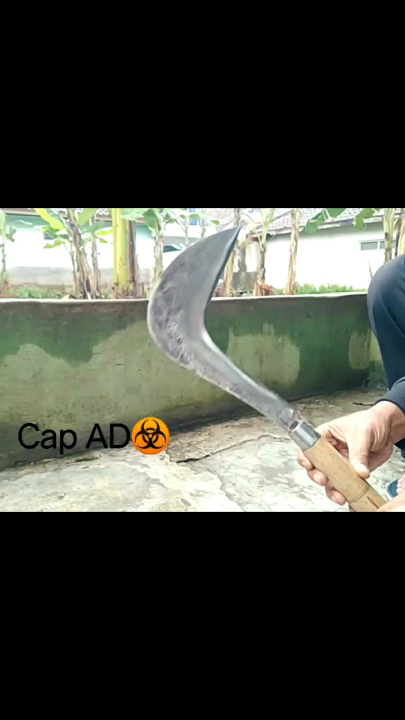 pemangkas rumput liar, arit bando tajam,alat pertanian. berladang ...