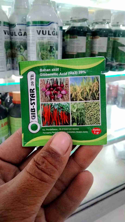 GIB STAR 20 TB (Gibberellic Acid (Ga3) 20%) 5gr | Lazada Indonesia