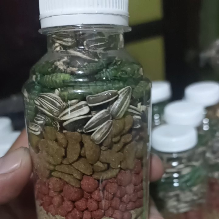 Makanan Hamster Racik Mix Lengkap Plus Extra Maggot Kering Protein ...