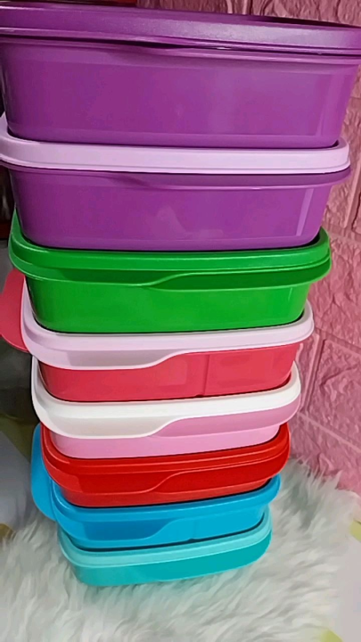 Tupperware Divided Lunch Box 550ml small baunan for kids | Lazada PH