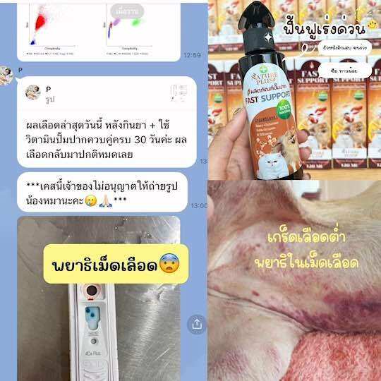 Fast Support ผลิตภัณฑ์ปั๊มปากฟื้นฟูเร่งด่วนทุกปัญหา ทานน้อย ผิวหนัง ...