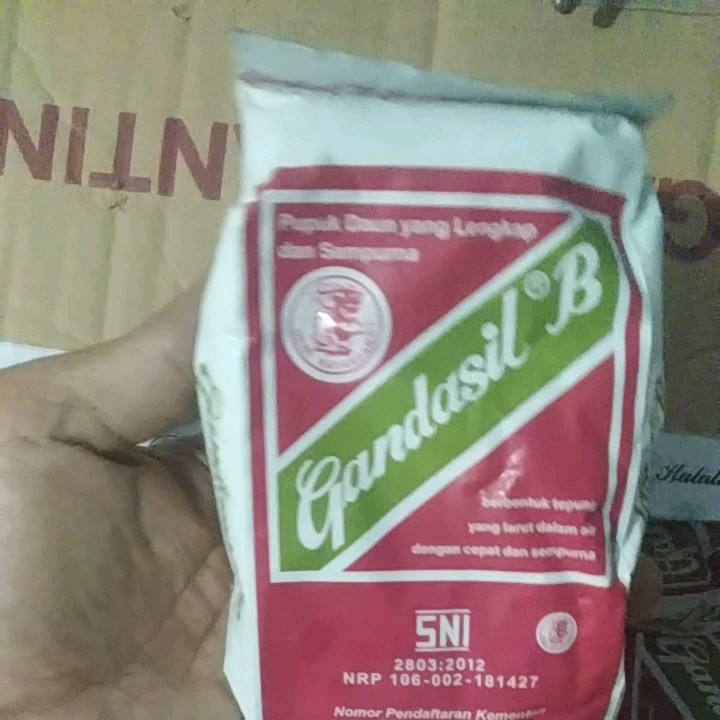 Pupuk Gandasil B untuk pembuahan 500gr Bisa di Aplikasikan Pada Tanaman Jagung | Lazada Indonesia