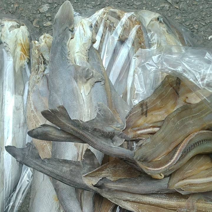 Shark Fish Dryปลาฉลามพม่า900g. | Lazada.co.th