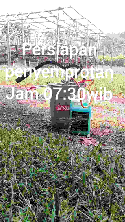 Cairan obat semprot pembasmi rumput liar, ilalang dan gulma (isi 1liter ...