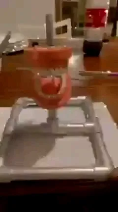 Typodont mount Stand dental Table top | Lazada PH