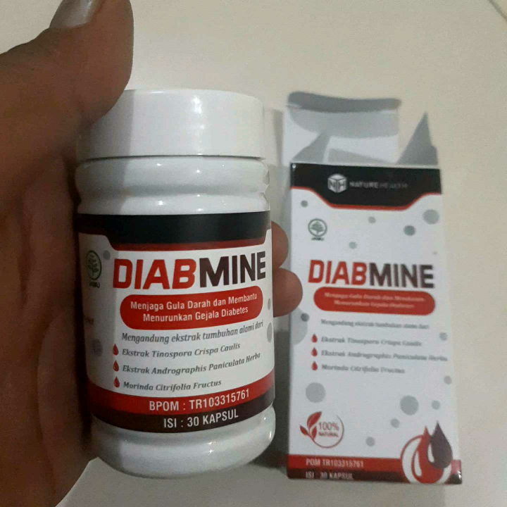 Diabmine obat diabetes kencing manis gula darah 30 caps BPOM | Lazada ...