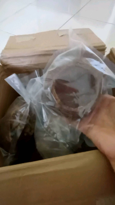 gula aren /gula enau indonesia | Lazada