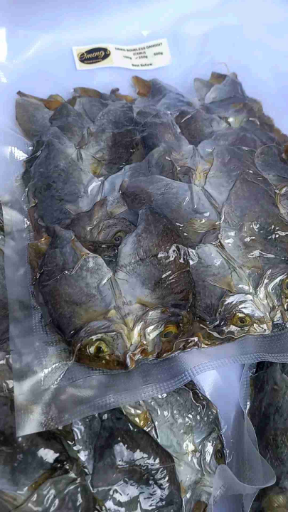 Dried Boneless CEBU DANGGIT Export Qualiy Vacuum-sealed Pack in 100g ...