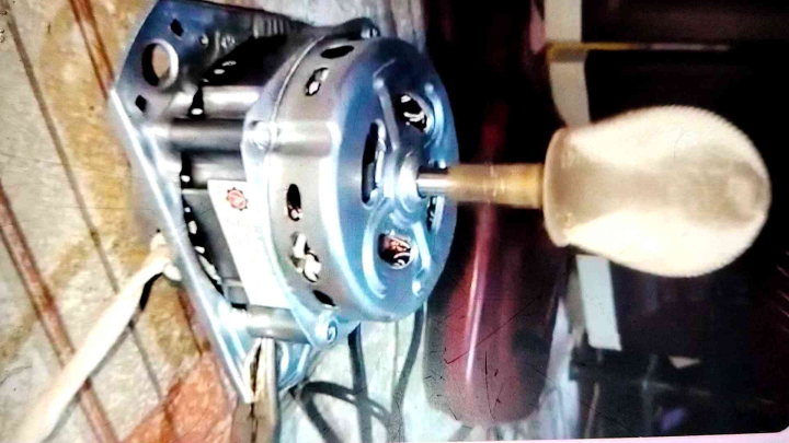 Coconut Grater blade Stainless variety size | Lazada PH