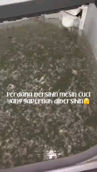 ALLKLEEN Washing Machine Cleaner Pembersih Semua Jenis Mesin Cuci 500g ...