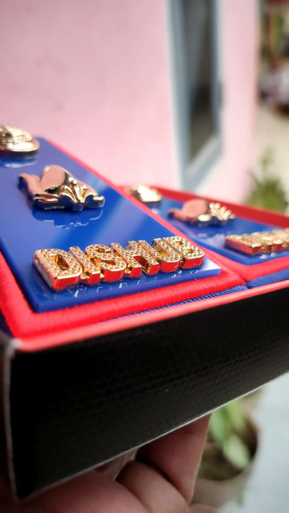 ENK ATRIBUT Pangkat Dishub 3D LIS merah | Lazada Indonesia