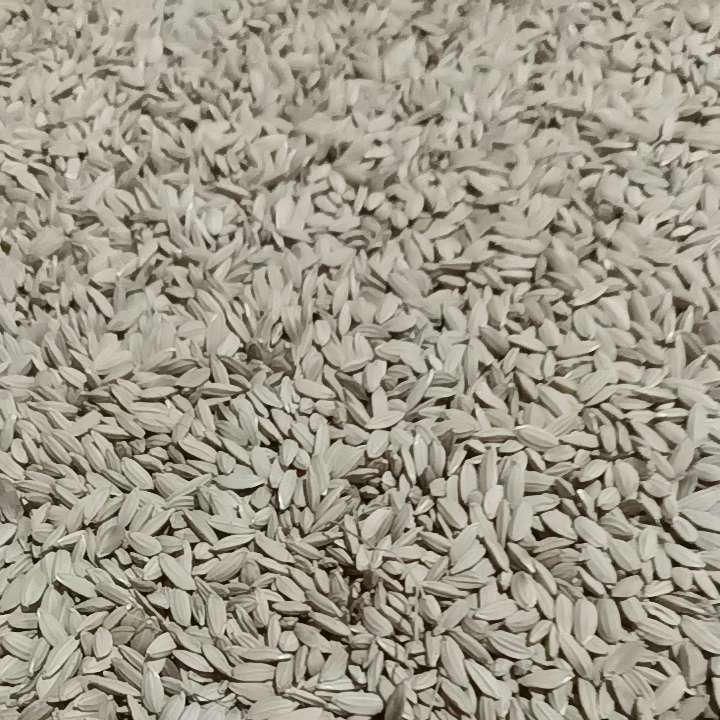 500 gram benih padi huma asli pilihan tumbuh di ladang darat | Lazada ...