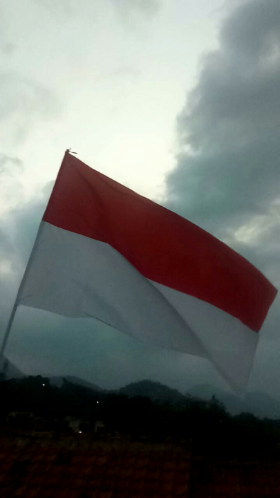 BENDERA MODEL BESAR | Lazada Indonesia