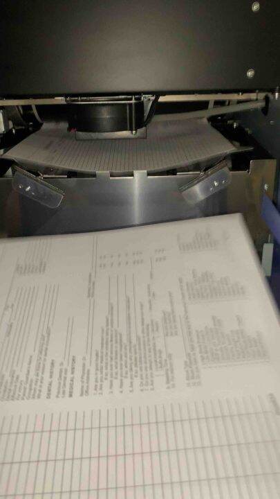 PDA Dental Chart High Quality Print 50pcs. | Lazada PH