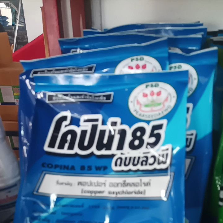แพ็คเก็จวิท85🌺โคปิน่า85🌺ฟังกูรานOH🌺ไอโรเน่WG+ทั้งสองสูตร🌺1Kg(คอปเปอร์ออ ...