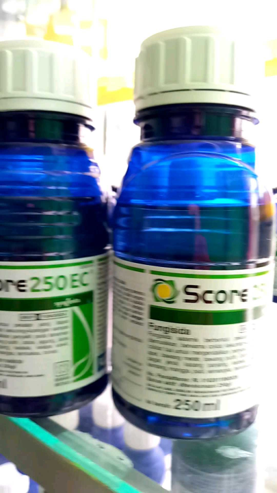 Score 250ec fungisida obat pertanian isi bersih 250 ml | Lazada Indonesia