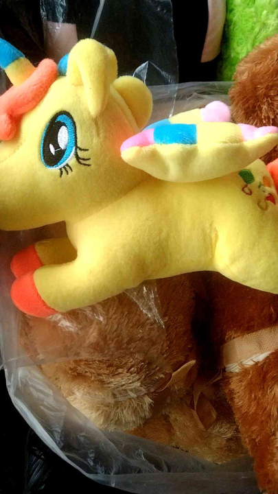 BONEKA KUDA PONI FLYING TERBANG MY LITTLE PONY HORSE DOLL | Lazada ...