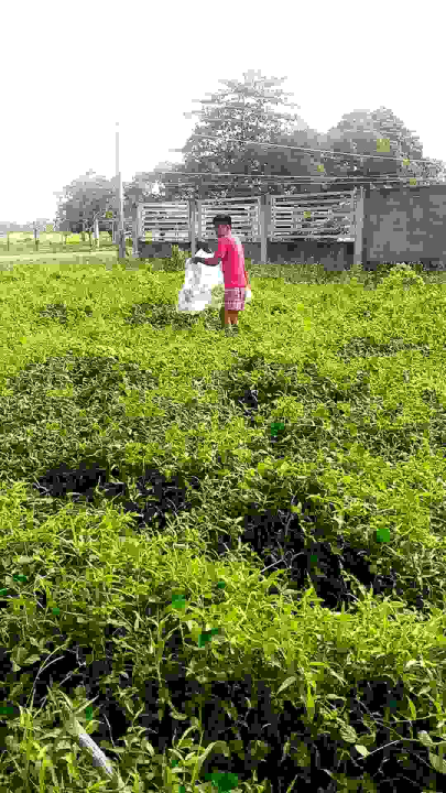 Throwing fishing net DALA O LAYA | Lazada PH