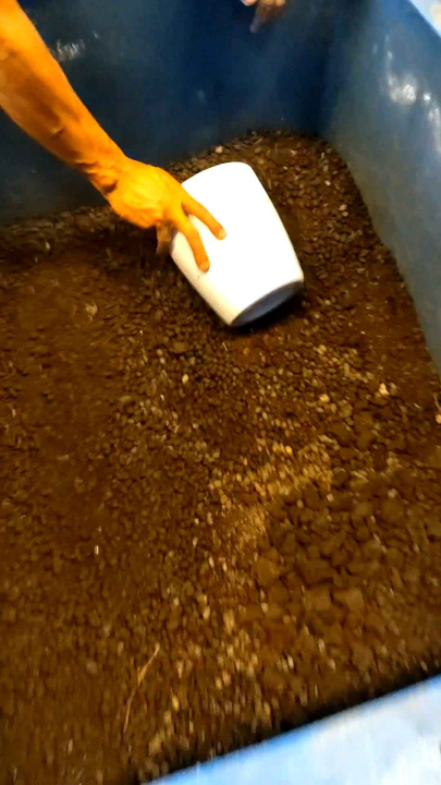 Baja Tahi Kambing Bokashi + Mikrobes EM+bacillus subtilis+Trichoderma ...