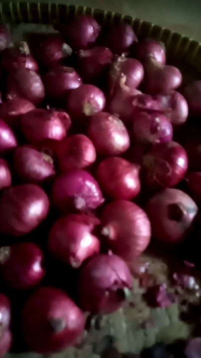 Bawang merah kecil india super 1kg | Lazada Indonesia