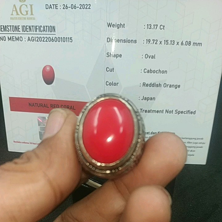 Natural Batu Cincin Marjan Red Coral Ring Titanium | Lazada Indonesia