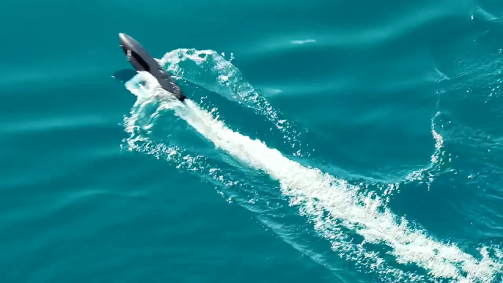 เรือบังคับวิทยุ HELIWAY-K S2 JET PUMP BOAT 2.4 GHZ 25.KMH สินค้าชุด ...