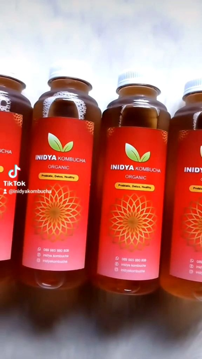 2 BOTOL KOMBUCHA TEA ORIGINAL 250ml | Lazada Indonesia