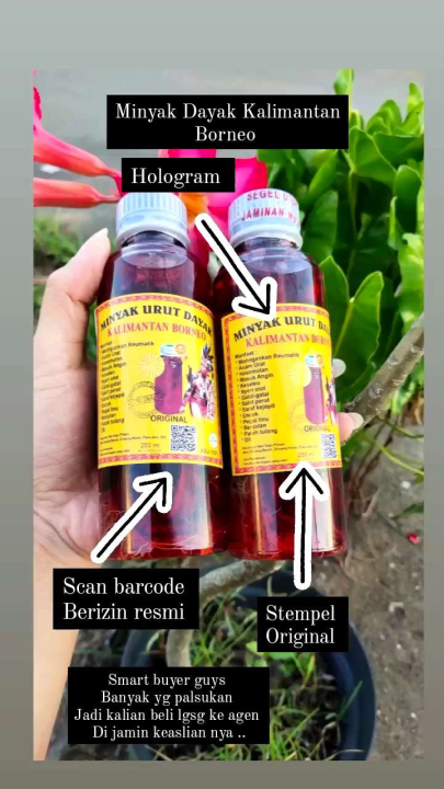 minyak dayak original Kalimantan Borneo 250ml | Lazada Indonesia