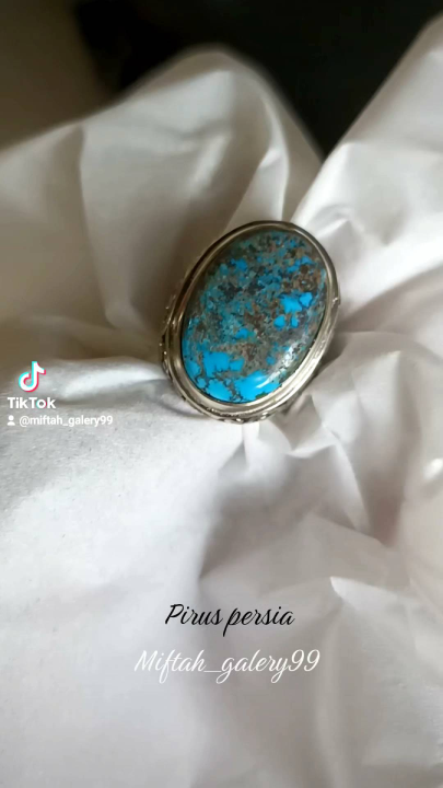 Natural pirus persia biru | Lazada Indonesia Natural pirus persia biru | Lazada Indonesia