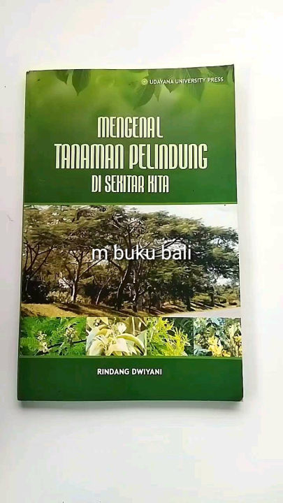 Mengenal Tanaman Pelindung di Sekitar Kita | Lazada Indonesia