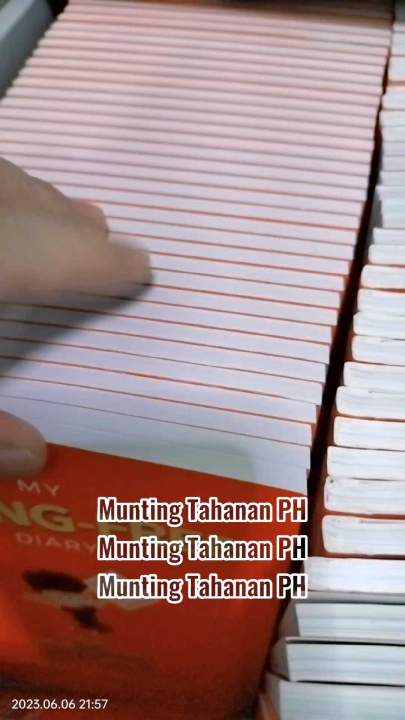 4 Diaries + Ipon Box Bundle by Chinkee Tan (Authentic) | Ipon | Badyet ...