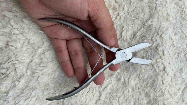 Stainless Steel piglet teeth cutter Pig Teeth Nipper Clipper Cutter for ...