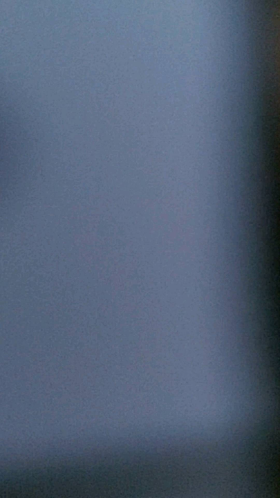 ORIGINAL PETTO AI TRAVEL CAGE CRATE FOR PETS | Lazada PH